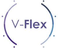 V-Flex - CERTEST Biotec IVD Diagnostic Products