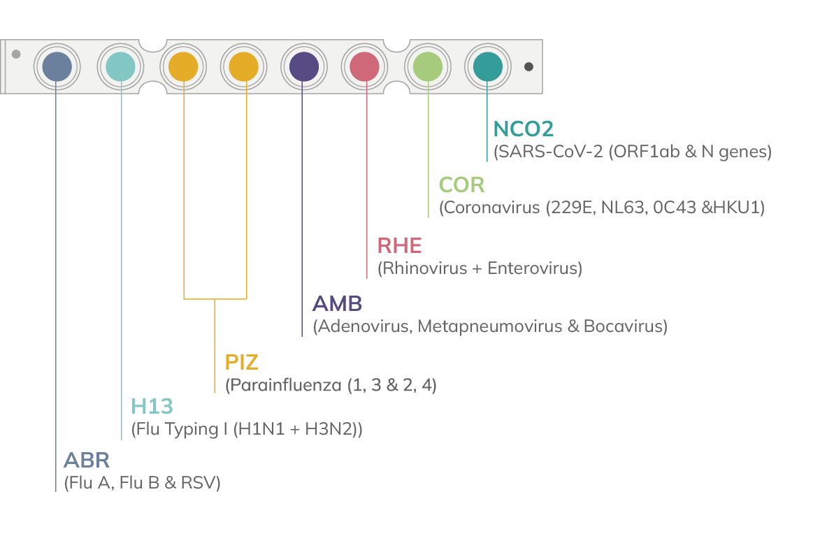 Respiratory Panel VI - Certest Biotec - Raw Materials | Diagnostics ...